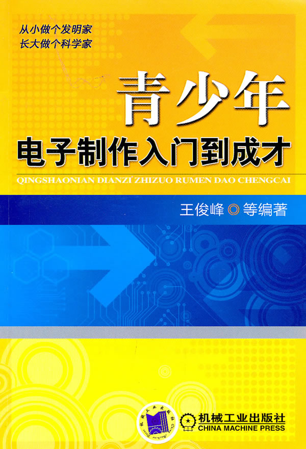 青少年电子制作入门到成才 王俊峰等编著