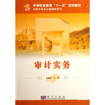 书籍 审计实务 龙银州主编 科学出版社