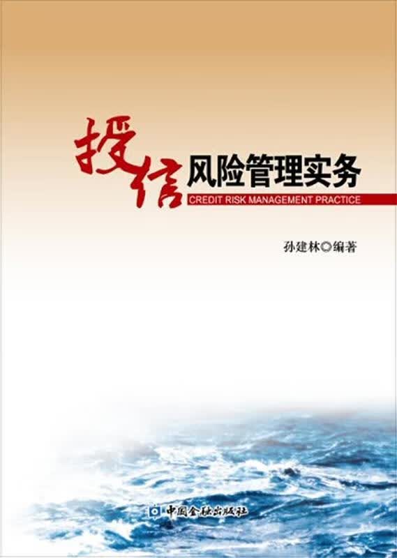 授信风险管理实务 孙建林编著