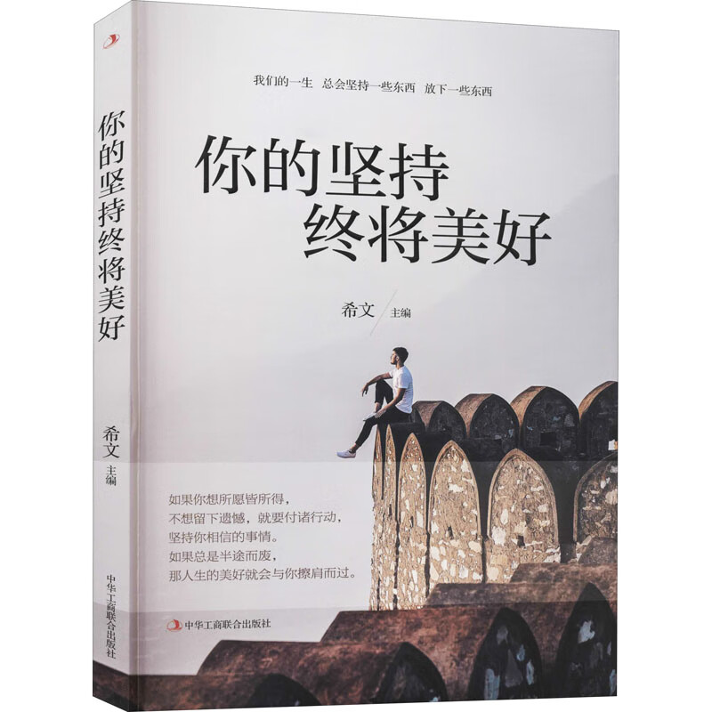 你的坚持终将美好 图书