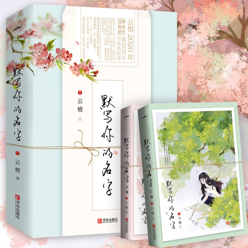 默写你的名字 全2册 云檀著 赠番外 都市校园青春文学言情小说畅销书 青春言情 如果不遇江少陵偷偷藏不住 包邮