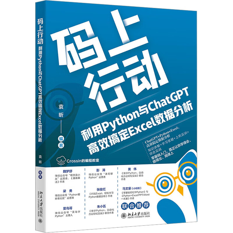 预售 码上行动 利用Python与ChatGPT高效搞定Excel数据分析 袁昕 书籍 图书