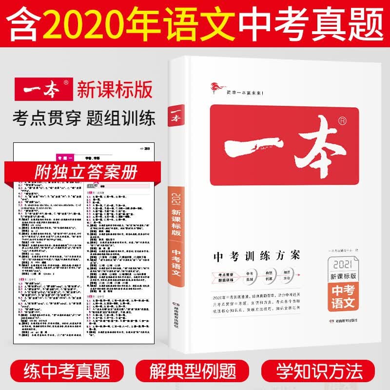 正规2021年总复习必刷题 中考一本语文英语数学附答案全解全析 九年级总复习资料中考考试 语文