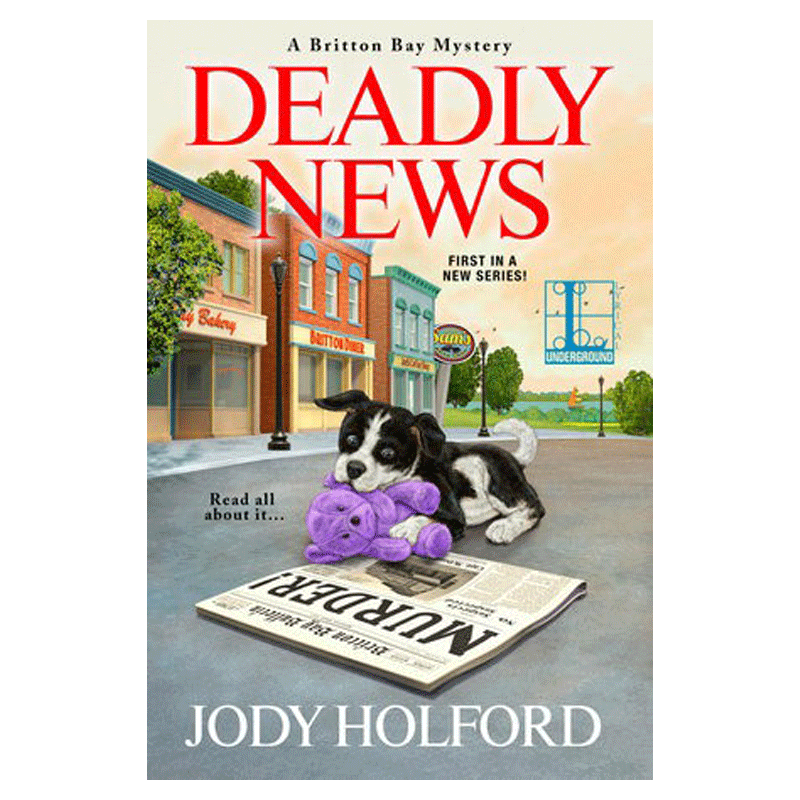 Deadly News 英文原版