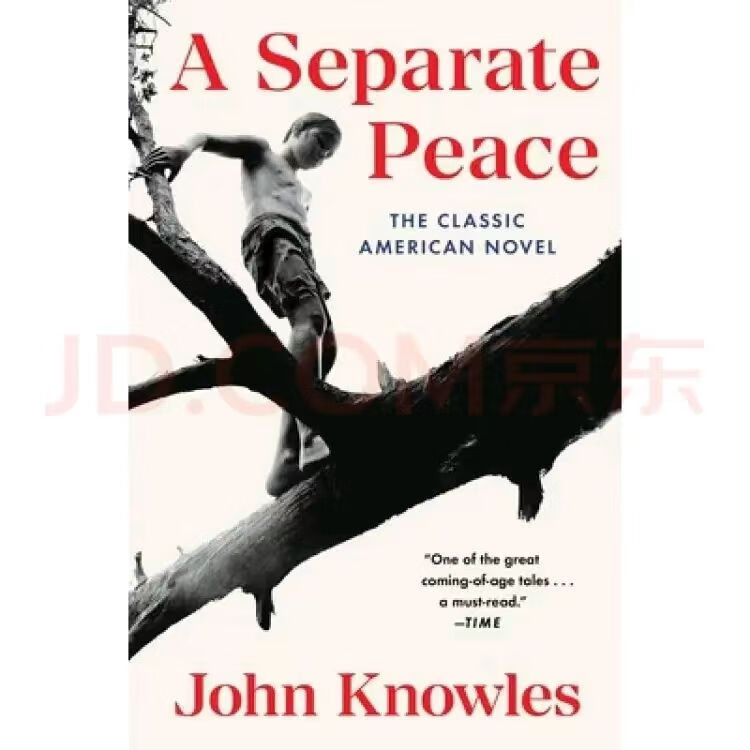 独自和解 英文版 A Separate Peace 一个人的和平