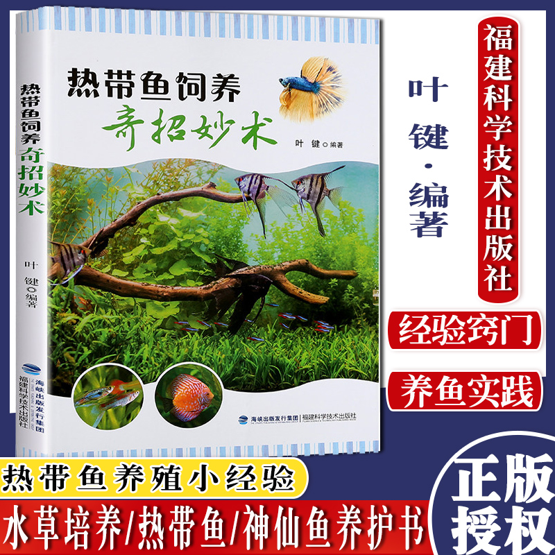 热带鱼饲养奇招妙术 叶键 热带鱼养殖小经验窍门 水草鱼缸造景技艺水草培育 热带鱼神仙鱼养护一本通