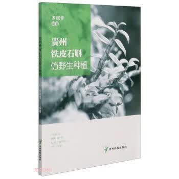 贵州铁皮石斛仿野生种植 罗晓青