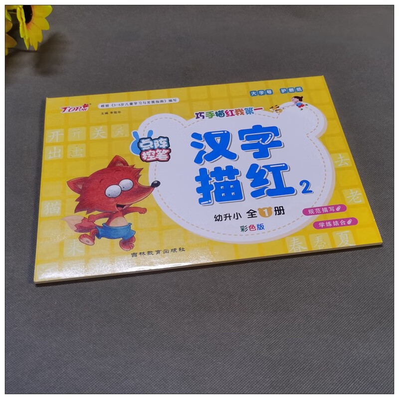 TOPDW系列新蒙氏幼儿学前描红天天练巧手描红拼音数字汉字102050以内加减法幼小衔接铅笔描红幼小衔接一日一练习册 汉字描红-2