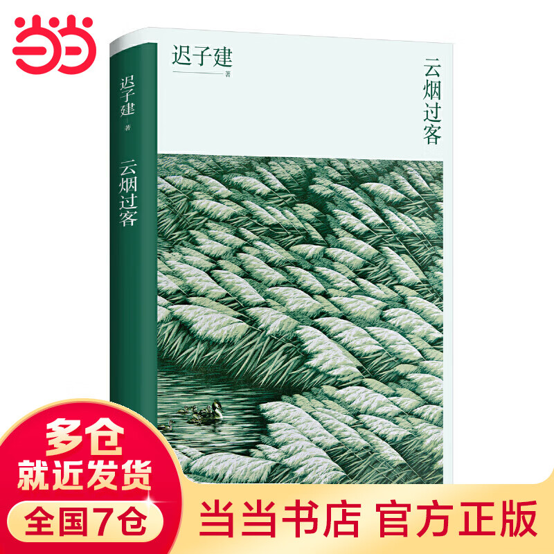 云烟过客（迟子建散文系列）