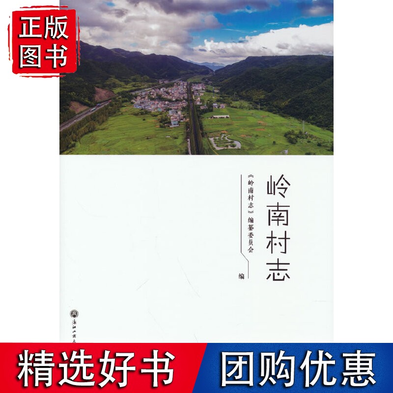 岭南村志