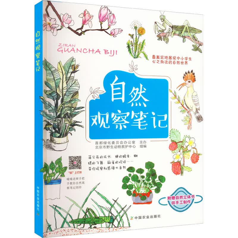 自然观察笔记 图书