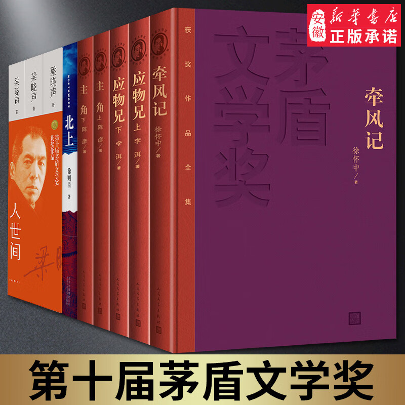 【精装】第十届茅盾文学奖9册全牵风记应物兄上下人世间北上主角茅盾文学奖获奖作品全集徐怀中李洱矛盾文学 北上徐则臣