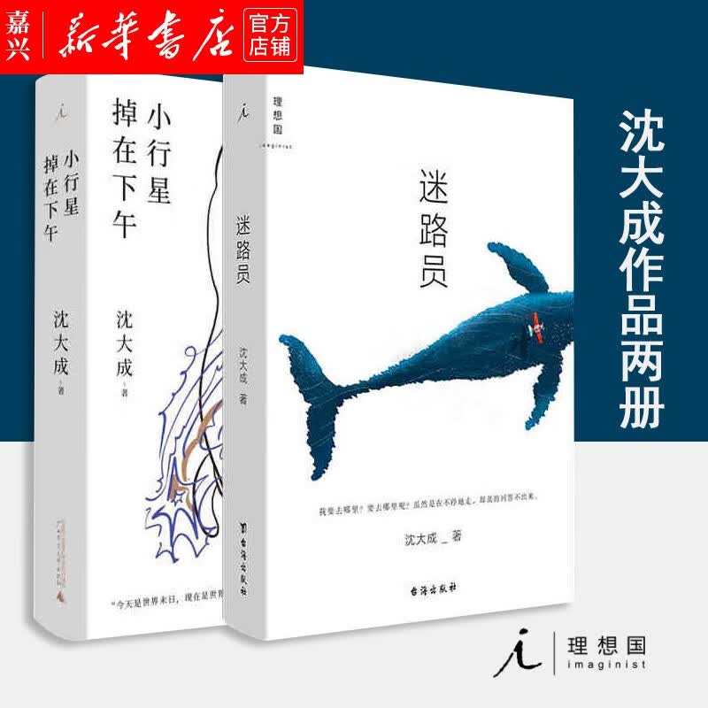 沈大成作品2册套装:迷路员+小行星掉在下午 当代文学短篇小说 宝珀理想国2021新书