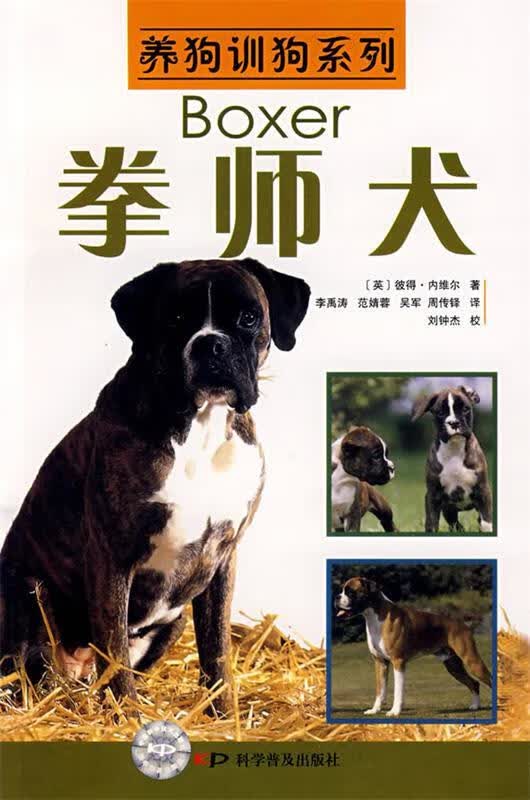 拳师犬【，放心购买】