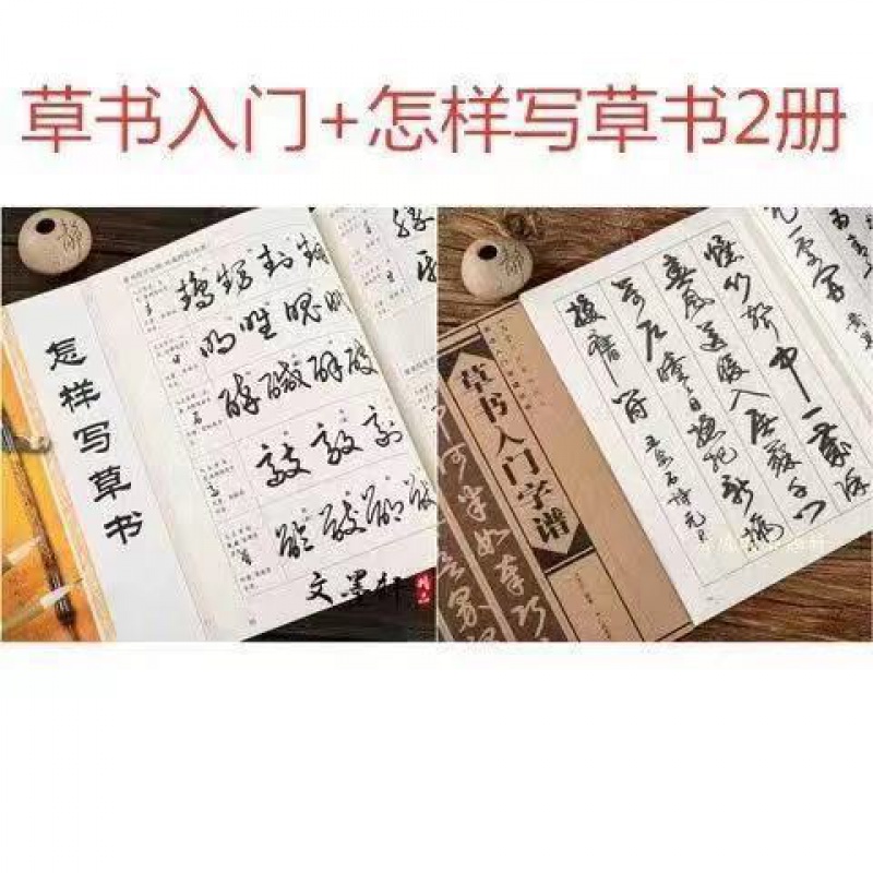中国书法草书技法毛笔字帖邓散木赵孟頫智永千字文王羲之草决歌 怎样写草书+草书入门