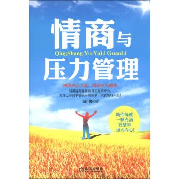情商与压力管理 周矩 著