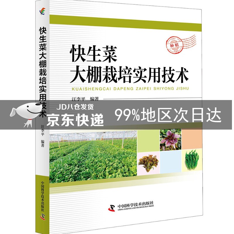 快生菜大棚栽培实用技术