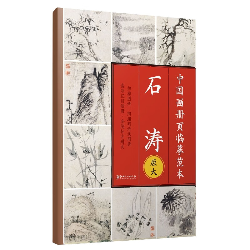 中国画册页临摹范本·石涛