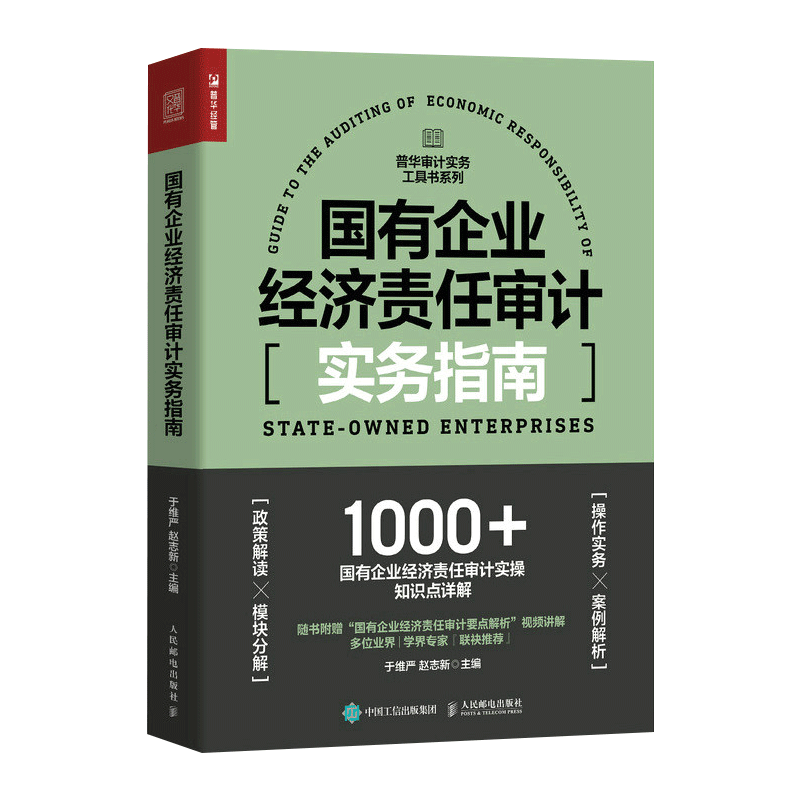 国有企业经济责任审计实务指南 国企审计工具书财务报告会计财务报表普华审计实务工具书籍 内部 内审 咨询会计师事务所风控