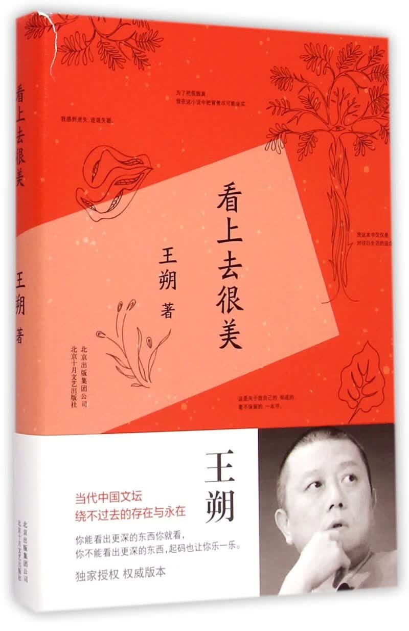 看上去很美(精)