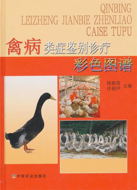 禽病类症鉴别诊疗彩色图谱 陆新浩,任祖伊主编