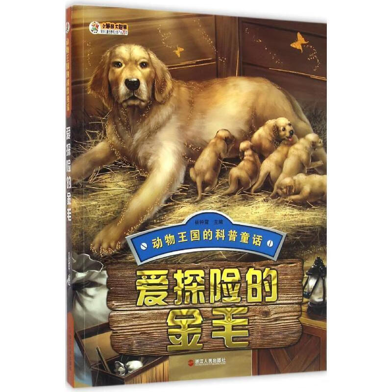 爱探险的金毛