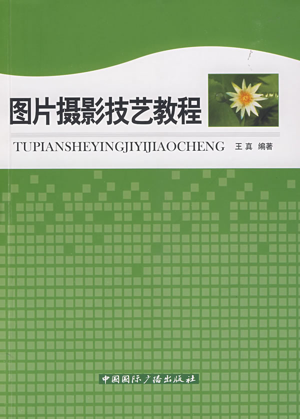 图片摄影技艺教程 王真【书】
