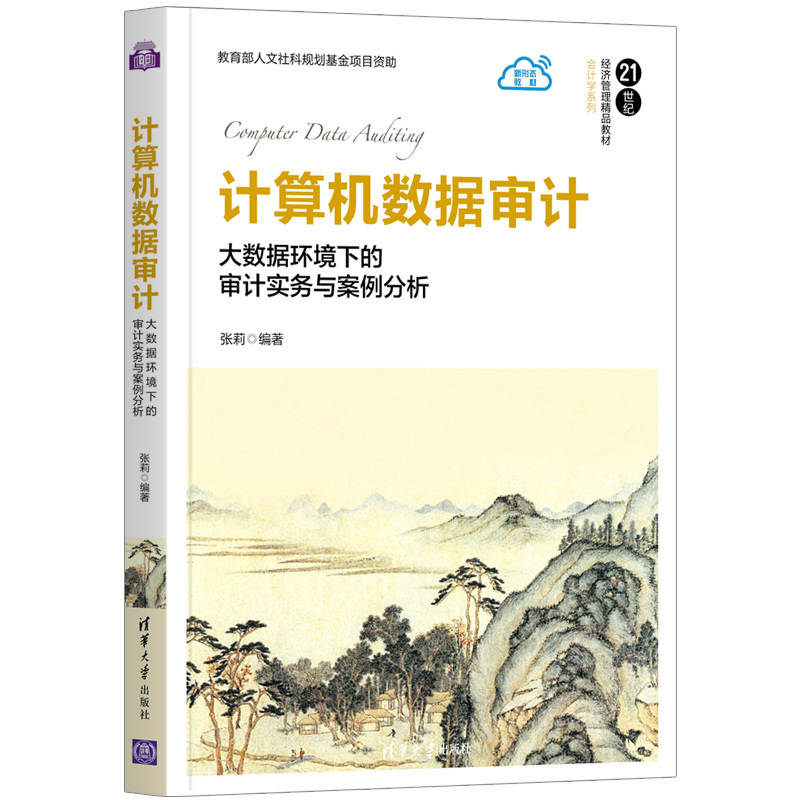 计算机数据审计 大数据环境下的审计实务与案例分析 张莉