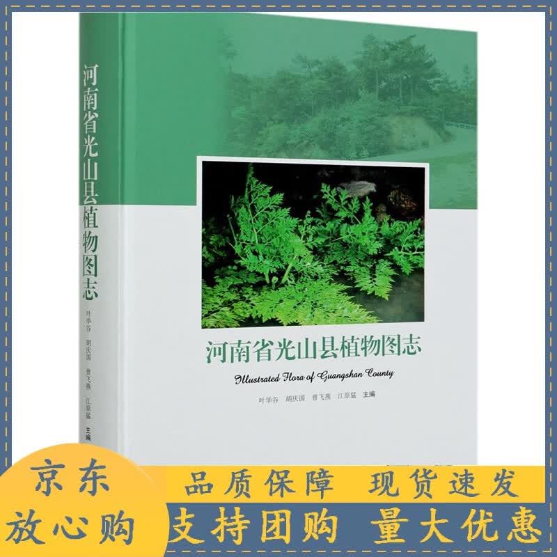 玩味潮汕