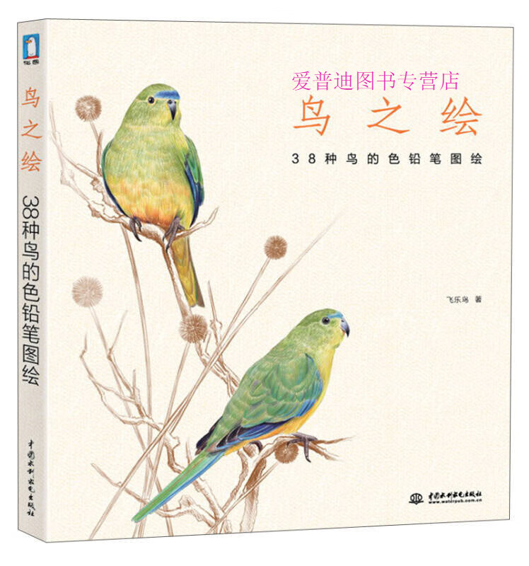 鸟之绘 飞乐鸟【好书，下单速发】