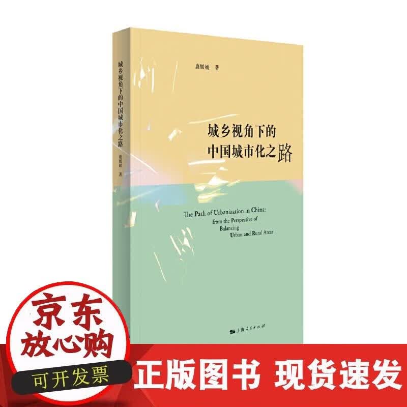 【现货】城乡视角下的中国城市化之路