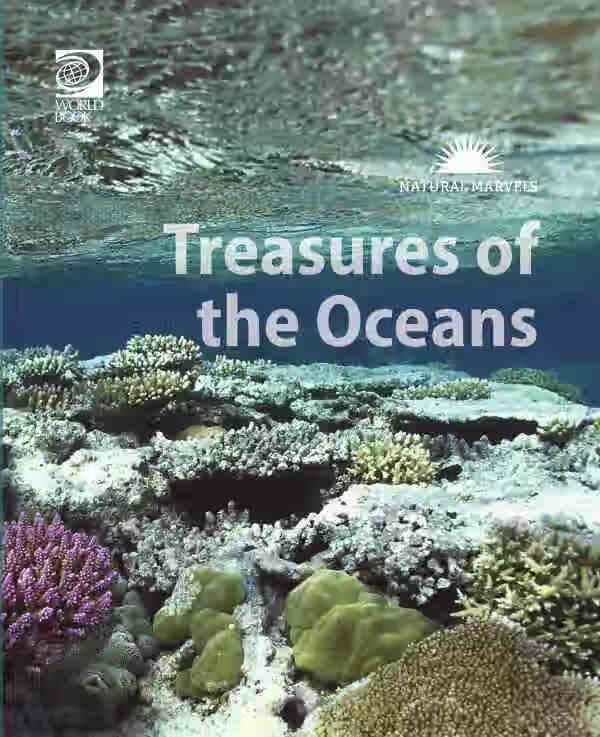 预售 按需印刷Treasures of the Oceans