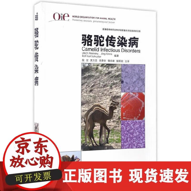【现货】骆驼传染病