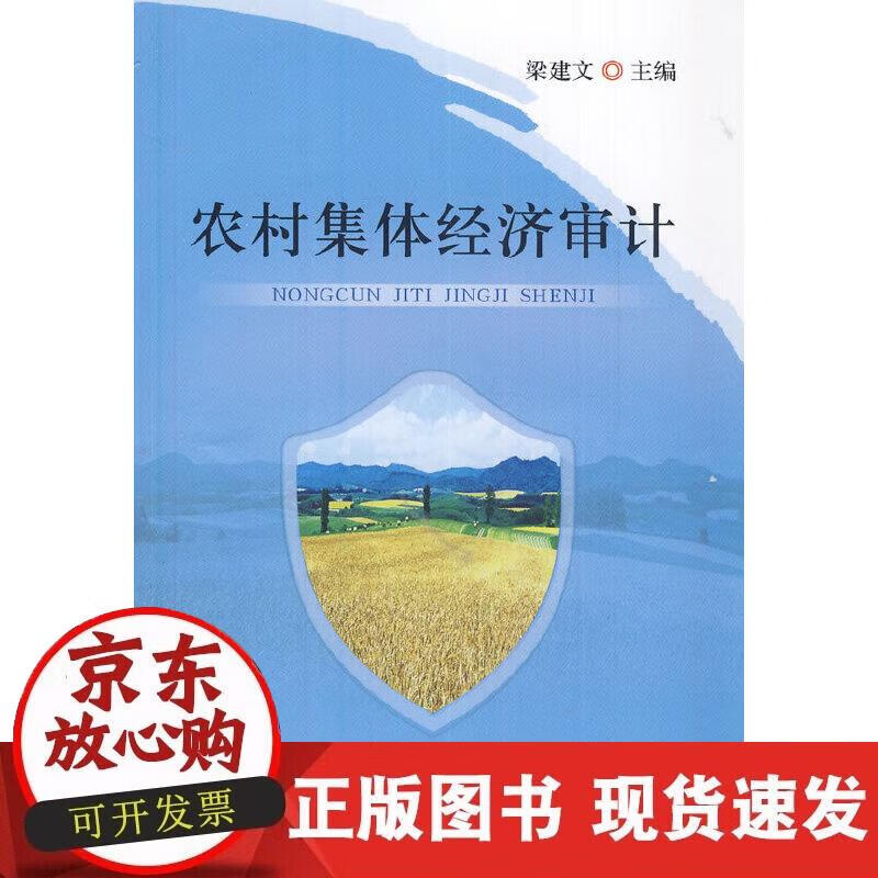 【现货】农村集体经济审计