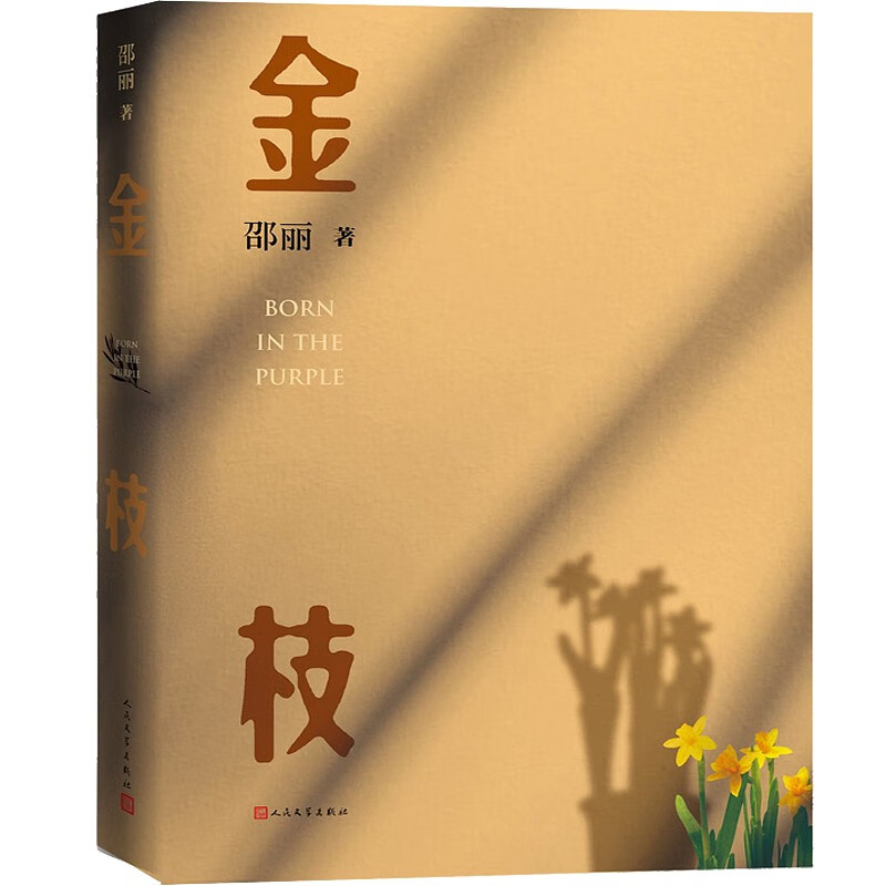 金枝 邵丽 著