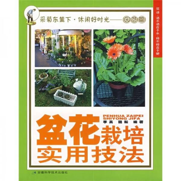 盆花栽培实用技法9787533734640