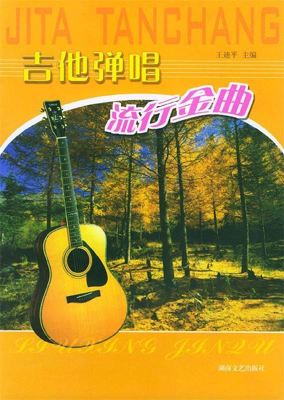 吉他弹唱 流行金曲【好书，下单速发】