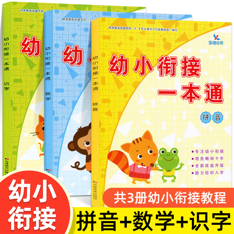 共3册 晨曦早教幼小衔接一本通拼音数学识字儿童书藉学前班幼儿园一日一练 早教基础标准课程幼升小