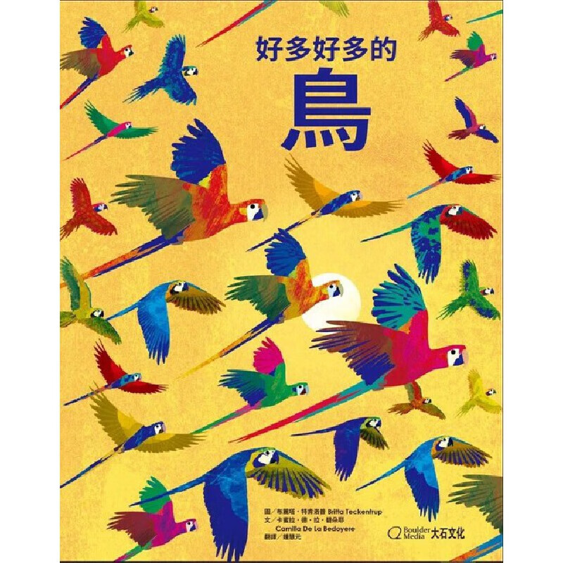 预售 好多好多的鳥 大石國際文化 卡蜜拉．德．拉．碧朵