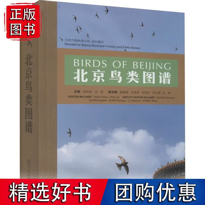 北京鸟类图谱