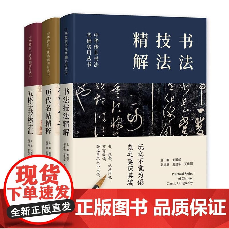 【现货】全套3册中国传世书法技法精解+书法字典+历代名帖鉴赏楷书行书隶篆草书培训教程 lr