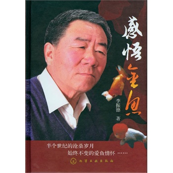 感悟金鱼【特惠】