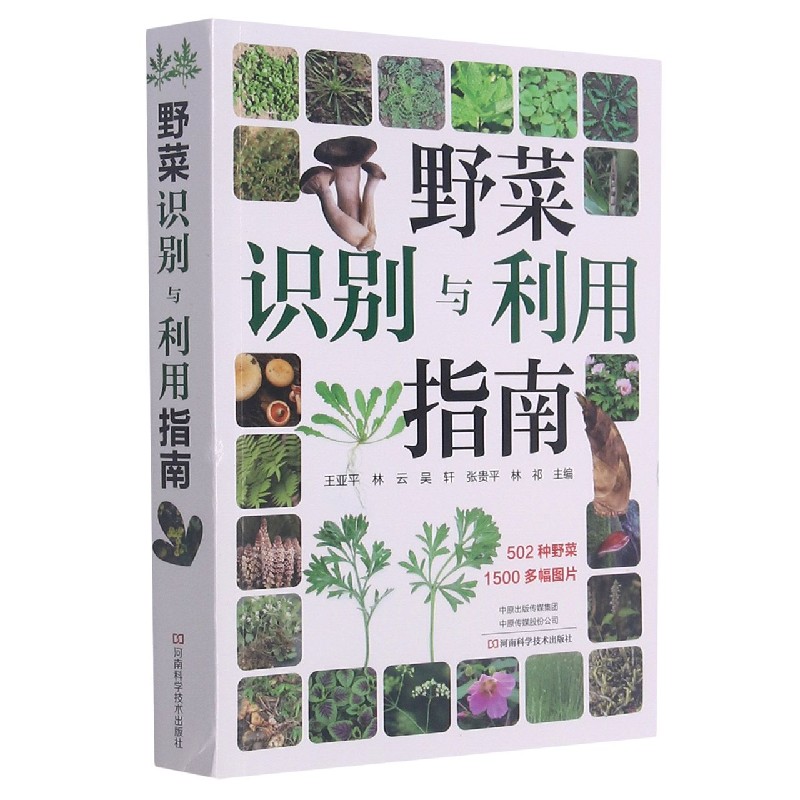 野菜识别与利用指南