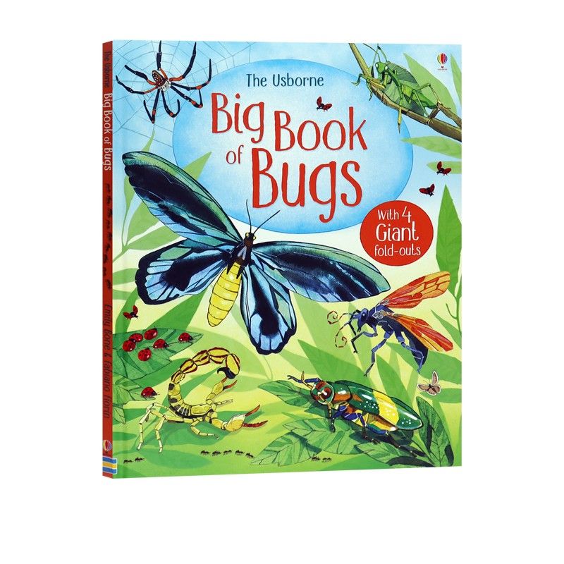 英文 Usborne Big Book 精装大开本 儿童数字单字启蒙图画辞典 子趣味互动游戏绘本 Bugs 昆虫