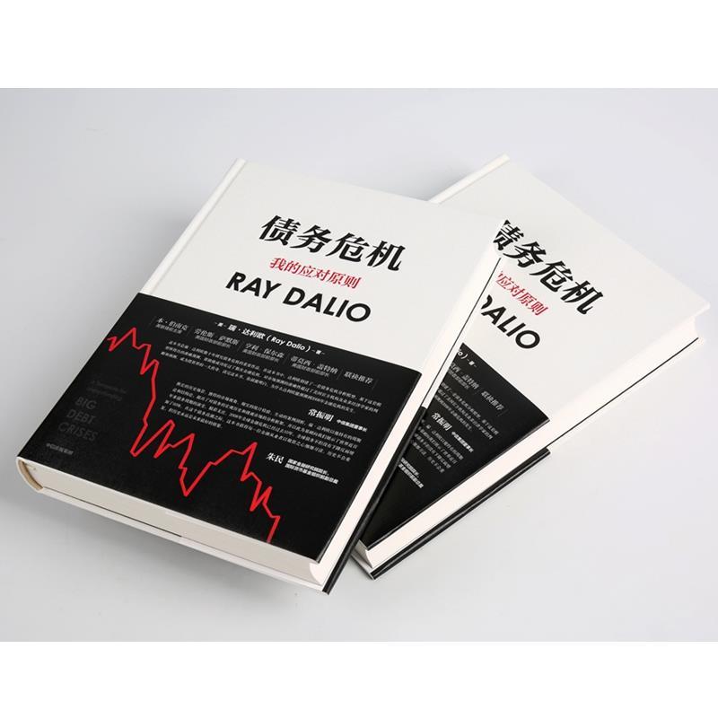 债务危机 (美)瑞·达利欧(Ray Dalio)【书】