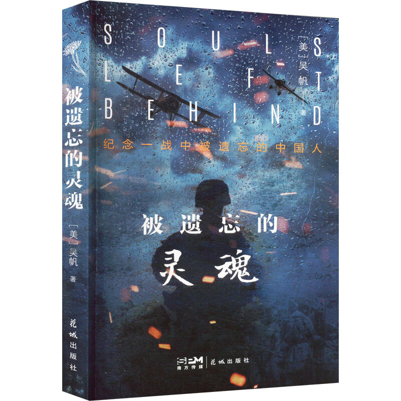 被遗忘的灵魂