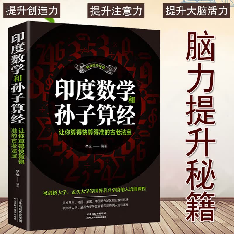 印度数学和孙子算经脑力提升秘籍让你算的快算得准的古老法宝启发数学思维创造力思维力提升思维训练法中小学