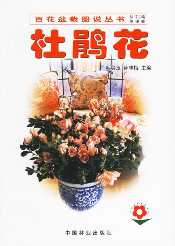 杜鹃花