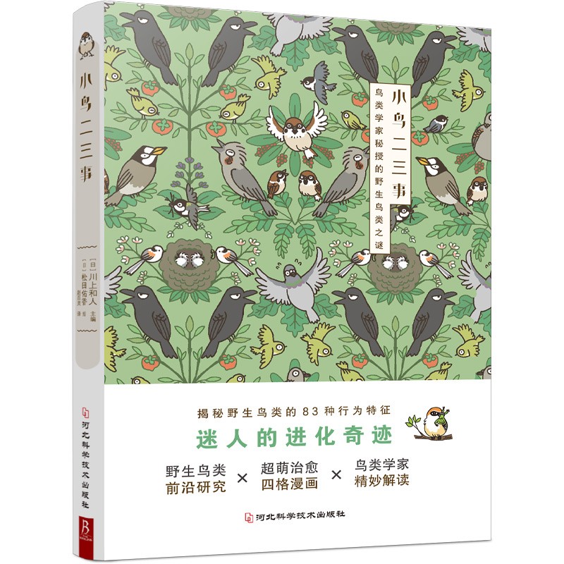 小鸟二三事鸟类学家秘授的野生鸟类之谜 超萌治愈四格漫画 揭秘83种野生鸟类的行为特征
