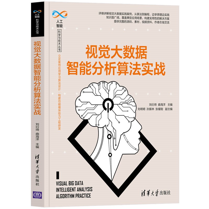 视觉大数据智能分析算法实战/人工智能科学与技术丛书
